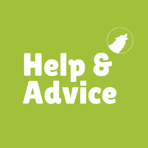 Get Involved Quicklinks