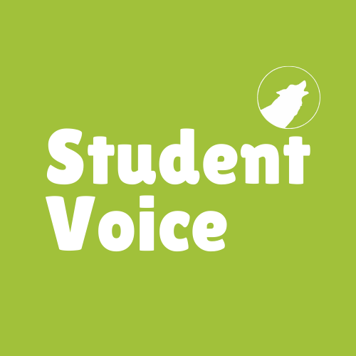 Student Voice